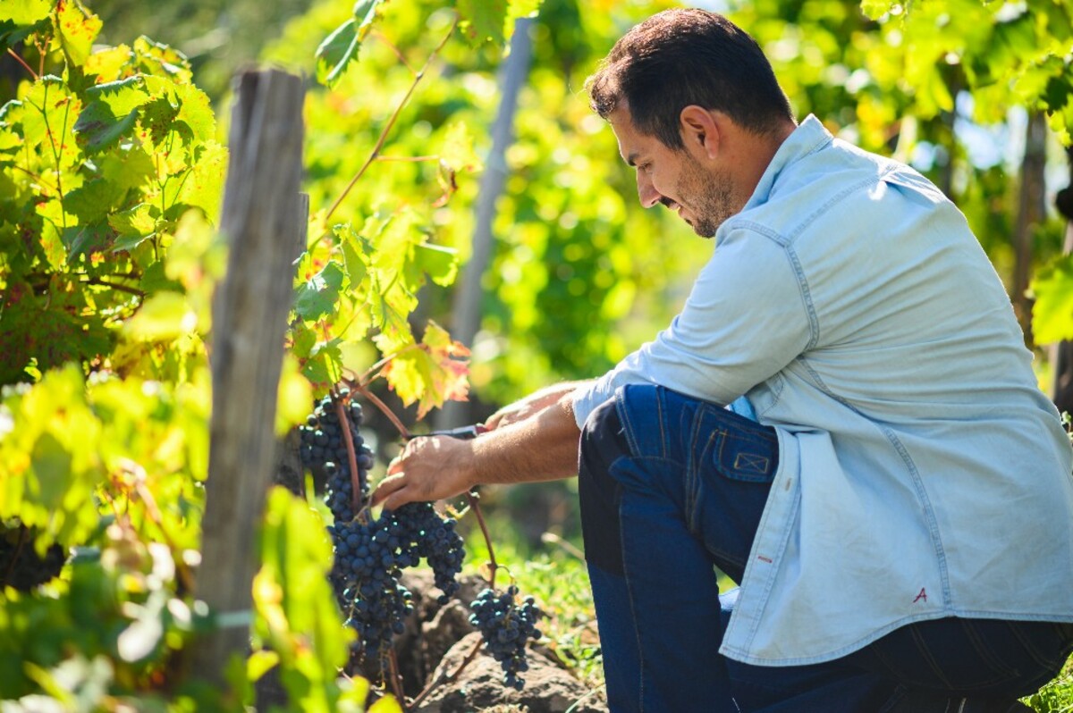 Rural Small Business Funding: Grants & Loans Guide | Square