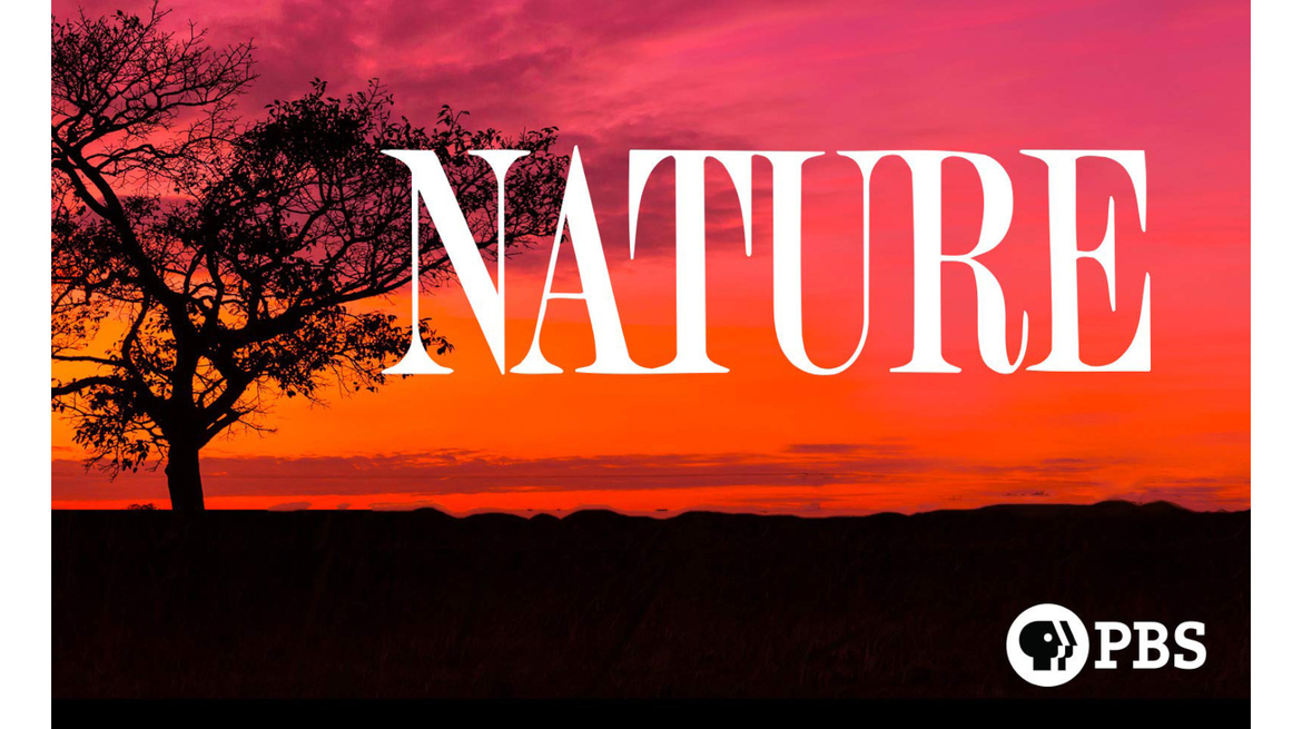 The Best Scientific Shows & Docuseries on TV Right Now | DIRECTV Insider